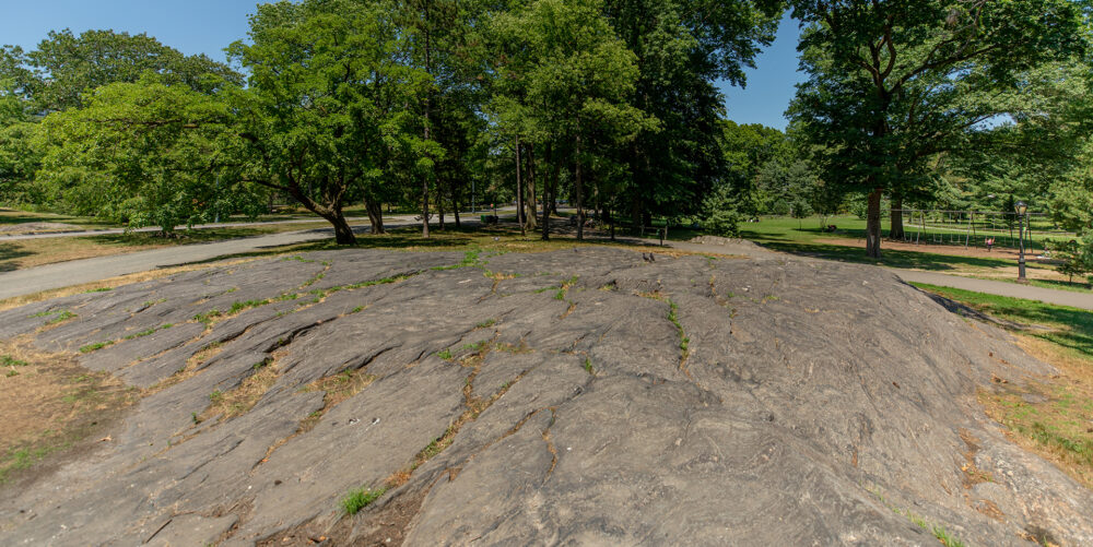 How the Landscape of Seneca Village Can… | Central Park Conservancy