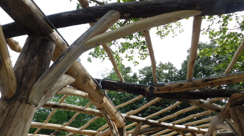 Central Park's Iconic Chess & Checkers… | Central Park Conservancy