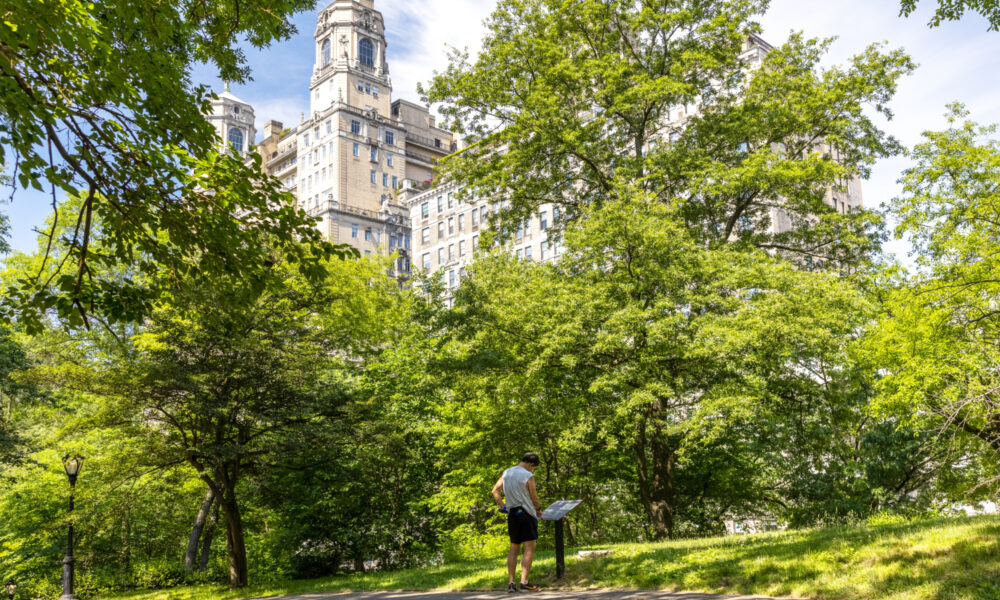 Seneca Village Landscape | Central Park Conservancy
