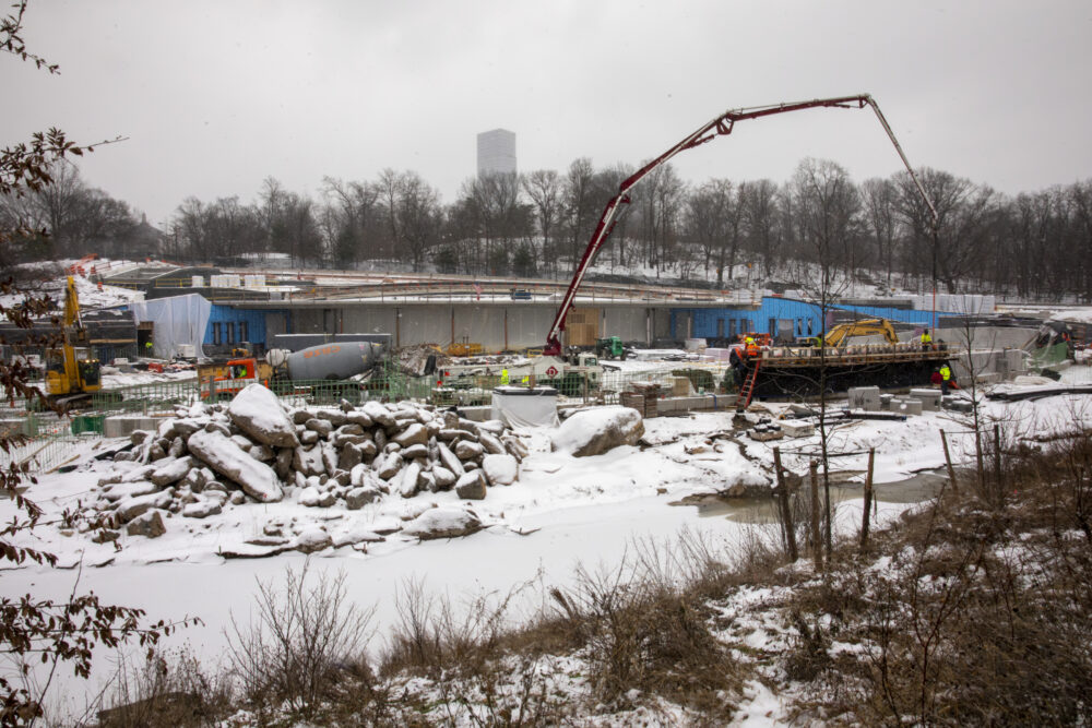 The New Davis Center | Central Park Conservancy