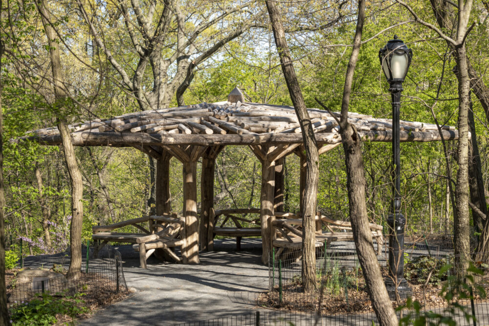 Reconstruction of the Ramble's Rustic… | Central Park Conservancy