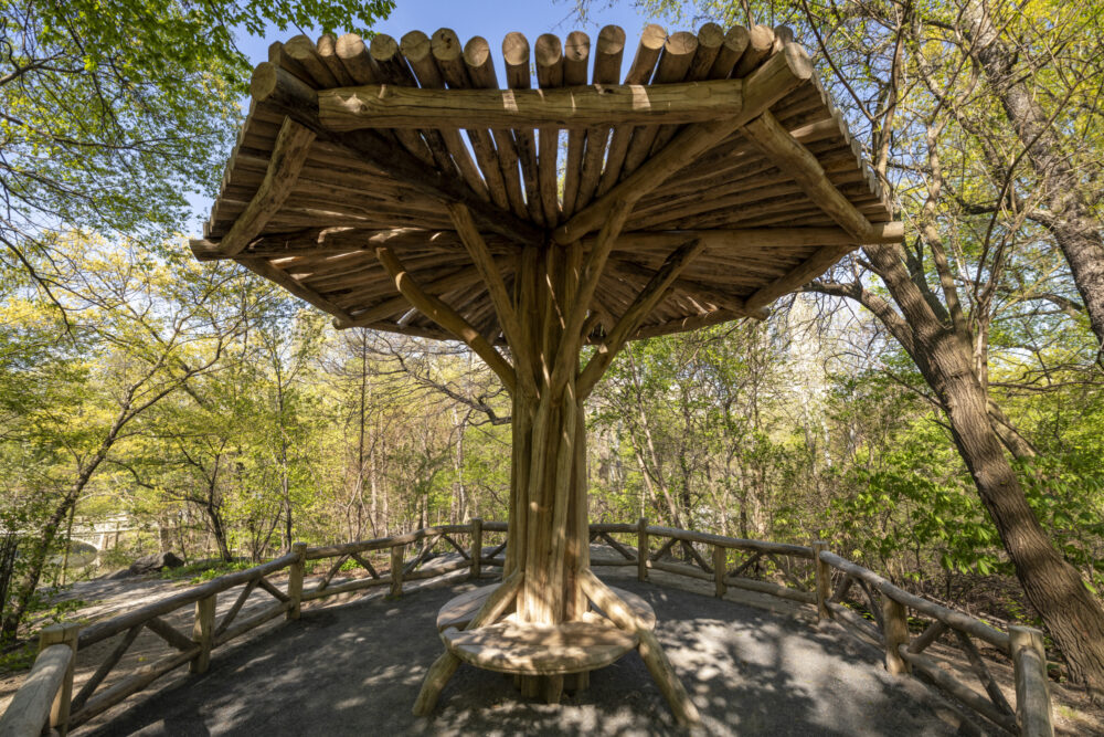 Reconstruction of the Ramble's Rustic… | Central Park Conservancy