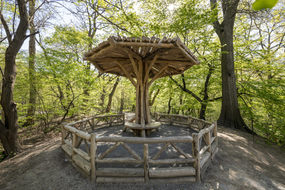 Reconstruction of the Ramble's Rustic… | Central Park Conservancy