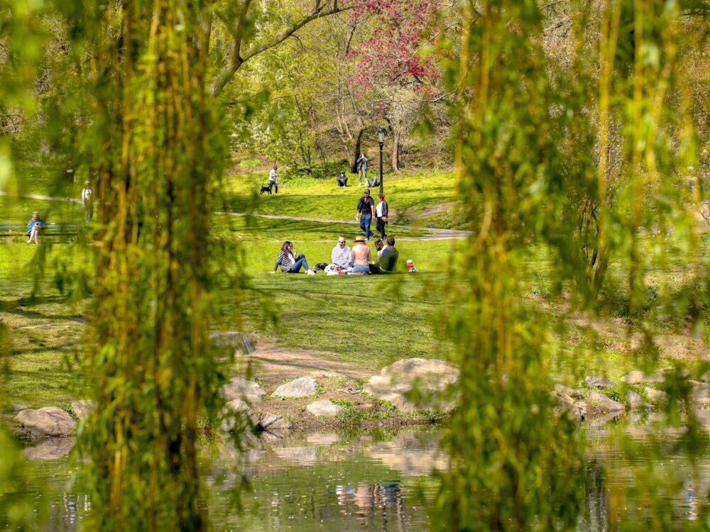 Harlem Meer | Central Park Conservancy