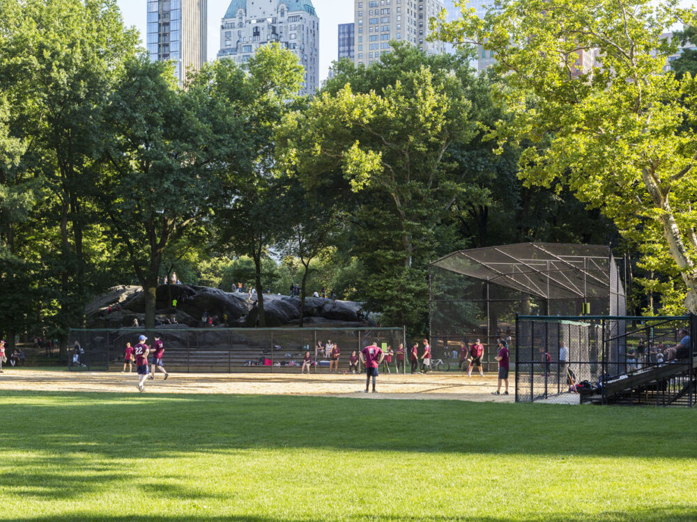 Arthur Ross Pinetum | Central Park Conservancy