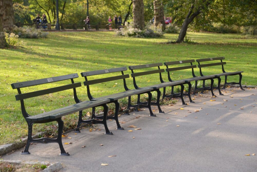 The History, Design, and Care of Central… | Central Park Conservancy