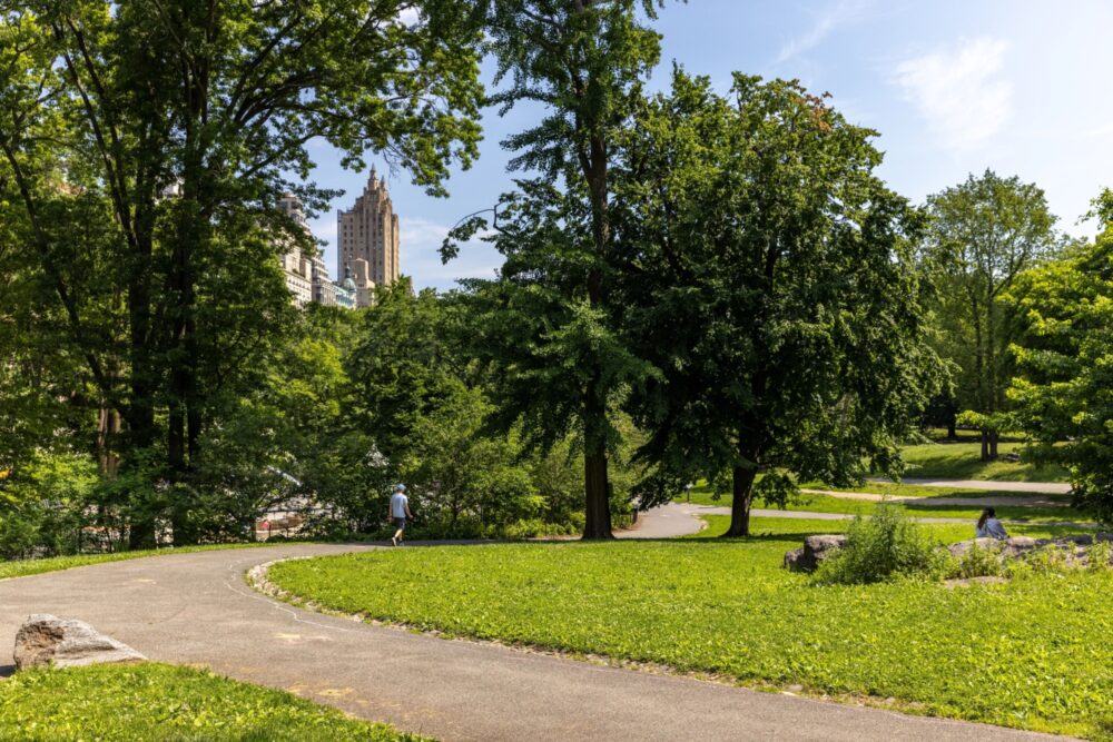 From Coverture to Control: The Empowerment… | Central Park Conservancy