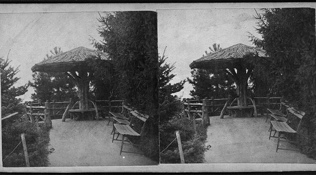 Reconstruction of the Ramble's Rustic… | Central Park Conservancy