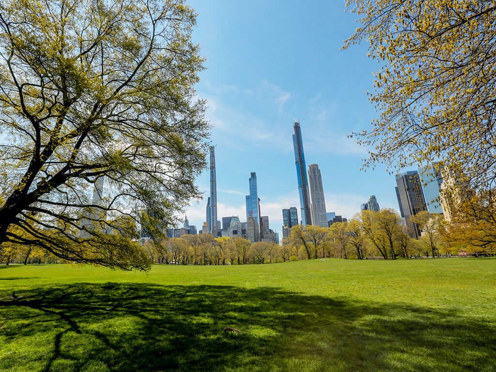 Digital Backgrounds: Desktop | Central Park Conservancy
