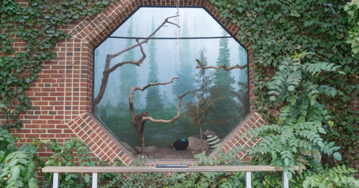 Going to the Zoo in Central Park New York,… | Central Park Conservancy