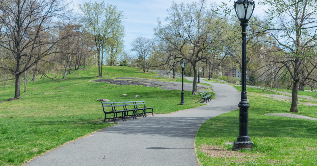 Admiring the Open Landscapes | Central Park Conservancy