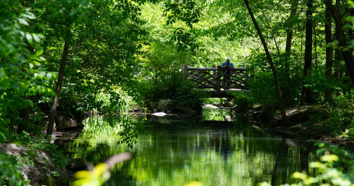 North Woods | Central Park Conservancy
