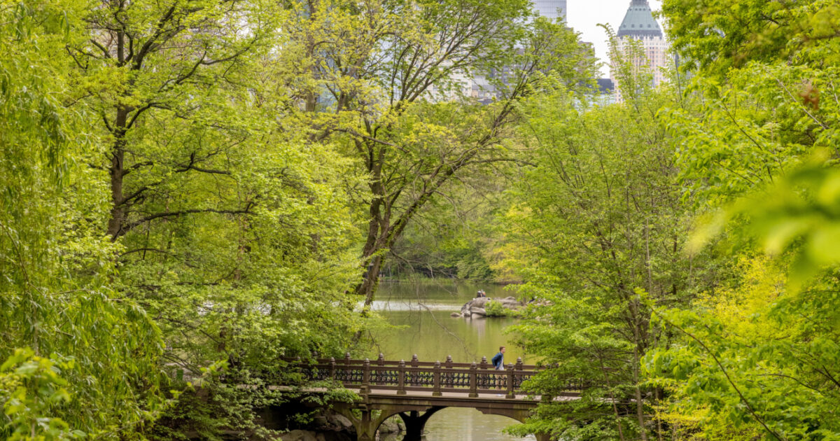 The Ramble Tour | Central Park Conservancy