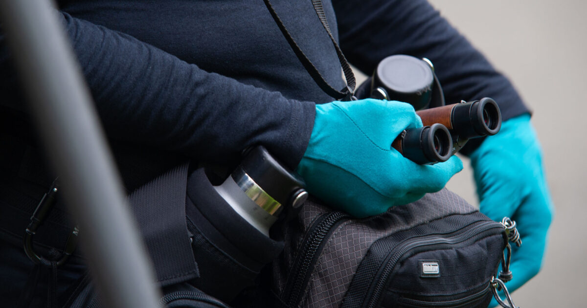 New Yorkers Celebrate Spring in Central… | Central Park Conservancy