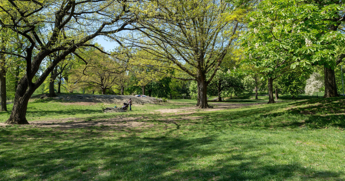 Before Central Park: The Story of Seneca… | Central Park Conservancy