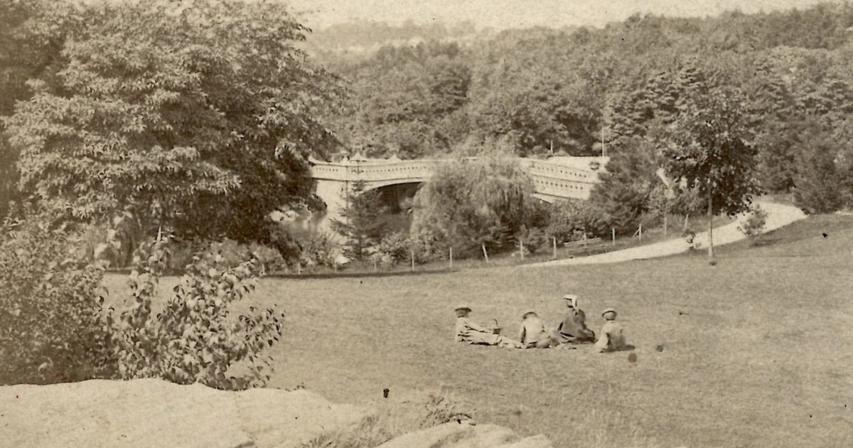 Staying Connected to Central Park through… | Central Park Conservancy