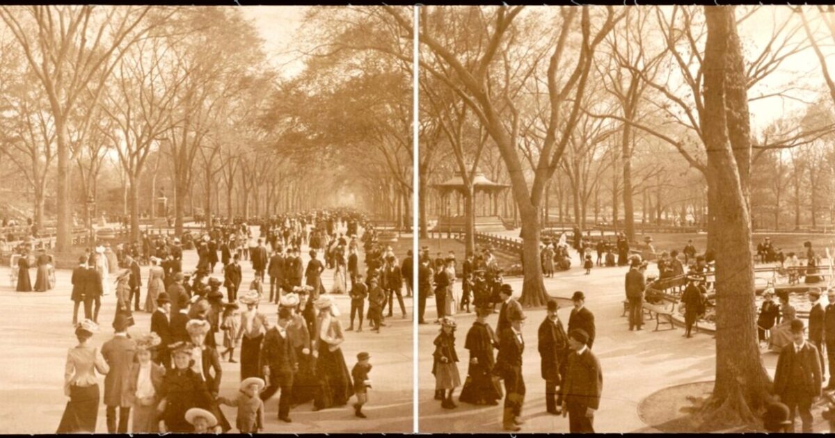 Central Park Research Guide | Central Park Conservancy