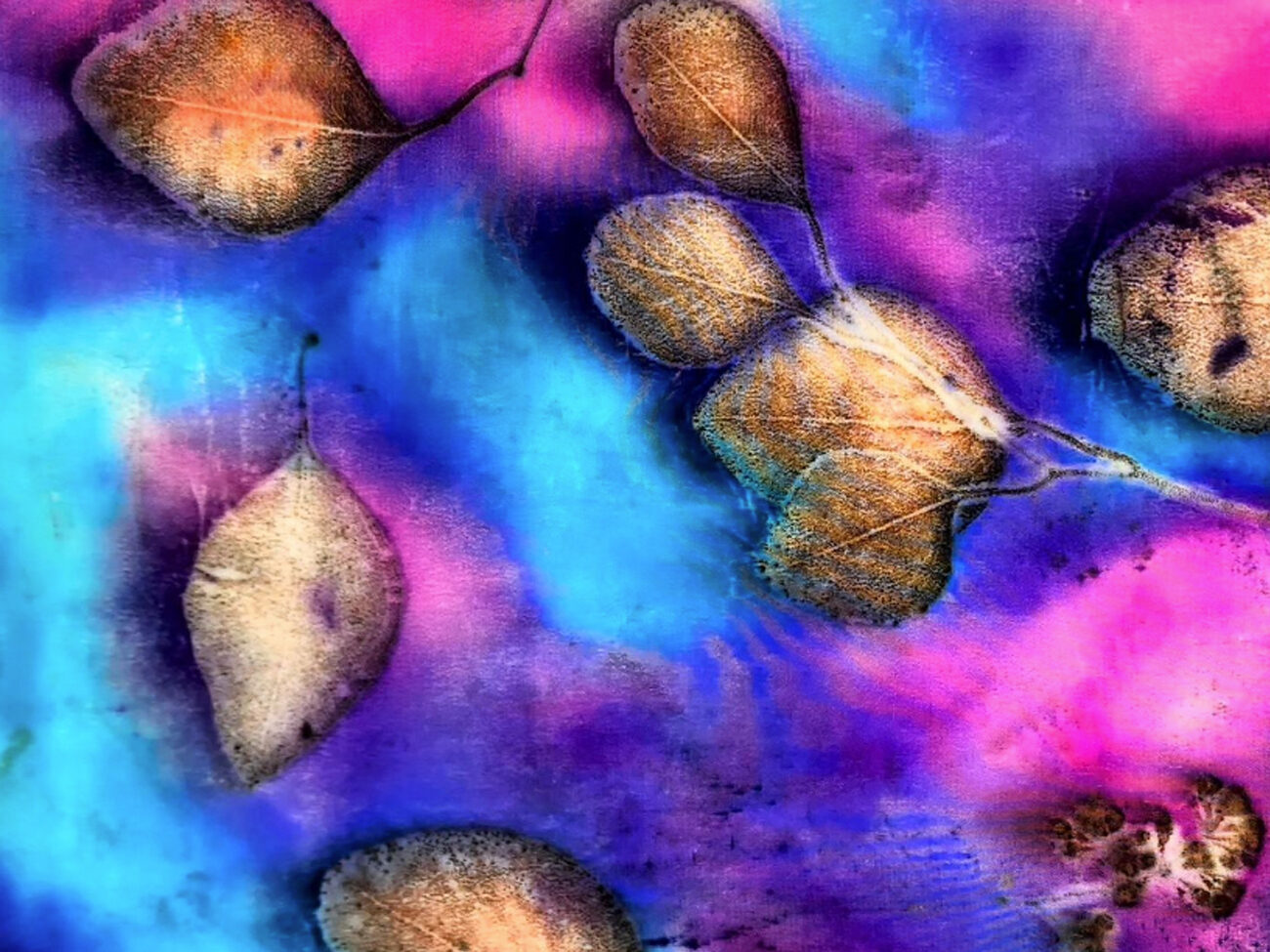 Local Harlem Based Artist | Omi Gray | Central Park Conservancy