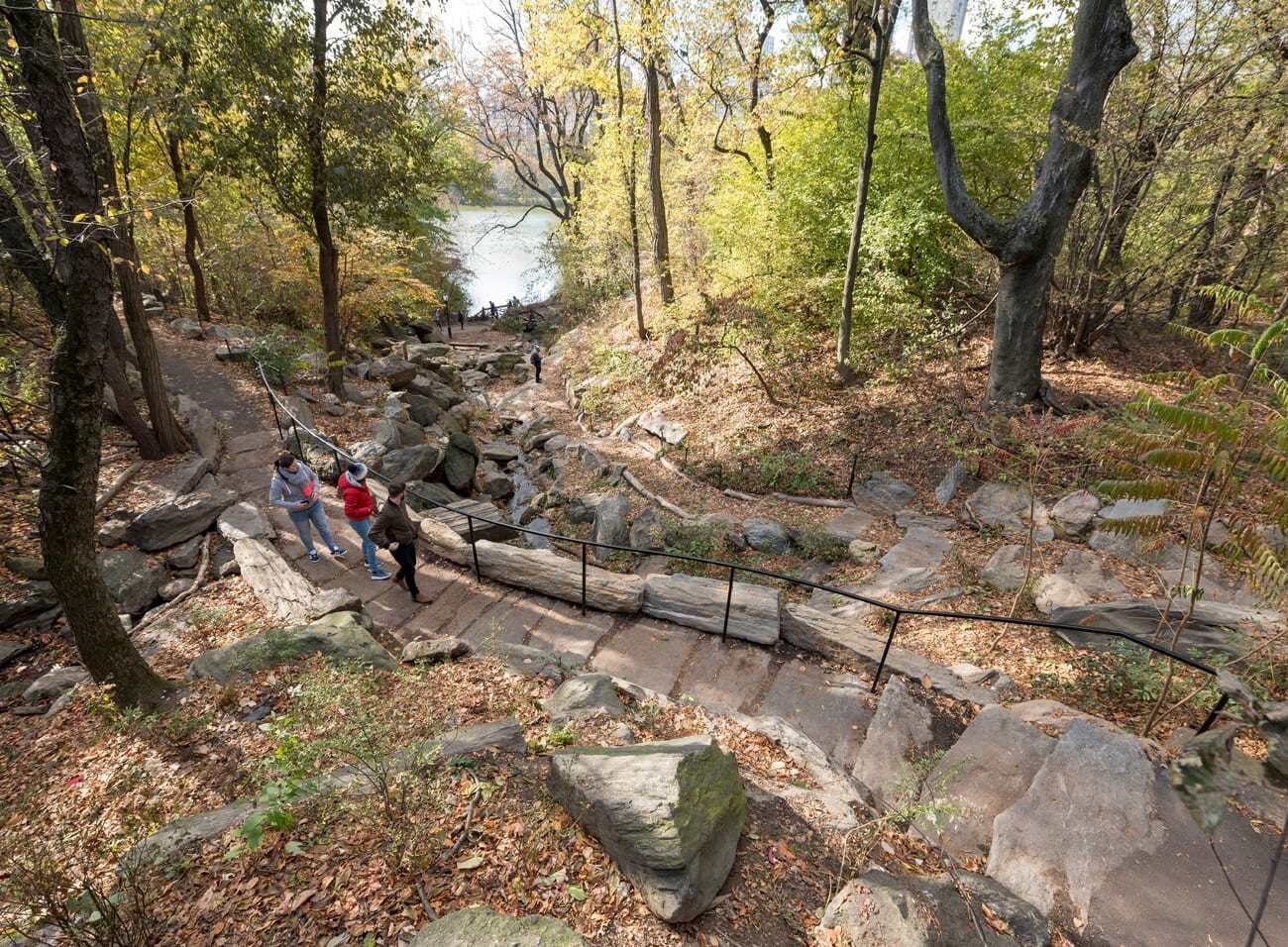 The Ramble: ‘A Sense of Mystery’ Across 36… | Central Park Conservancy