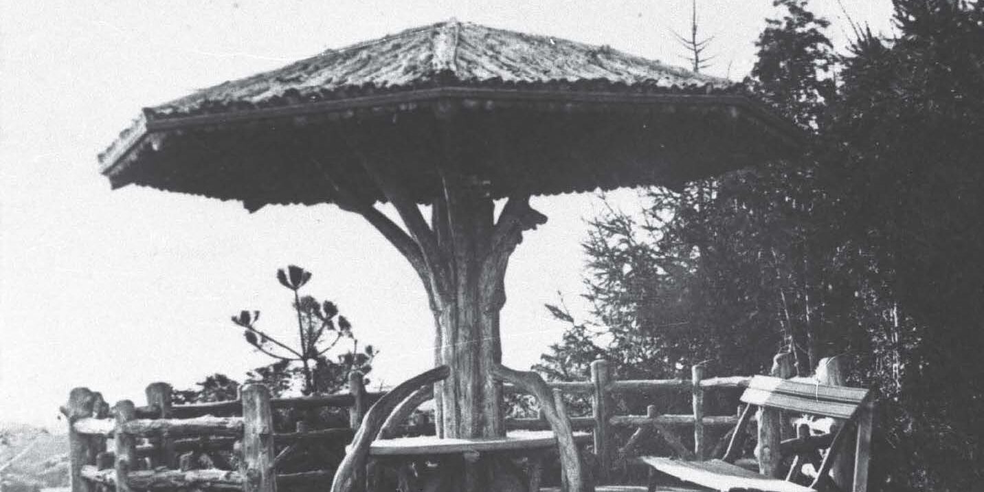 Reconstruction of the Ramble's Rustic… | Central Park Conservancy