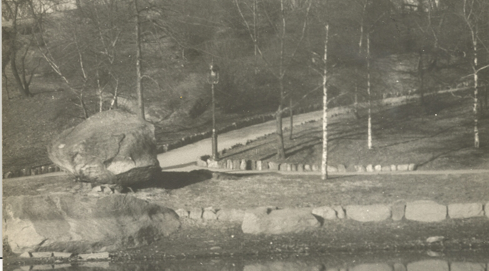 Reconstruction of the Ramble's Rustic… | Central Park Conservancy