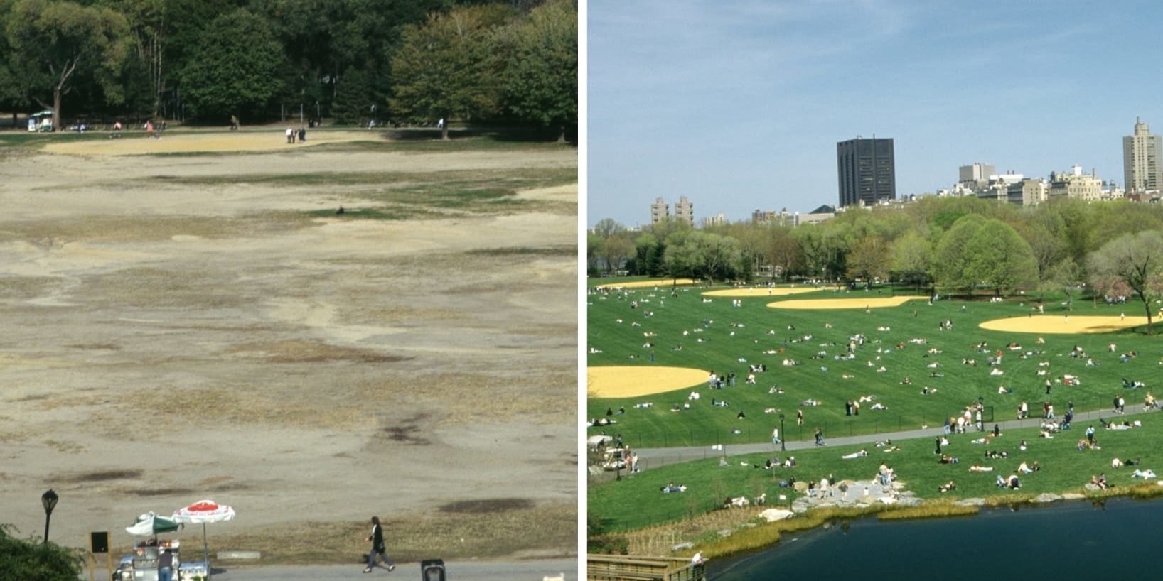 160 Years of Central Park: A Brief History | Central Park Conservancy