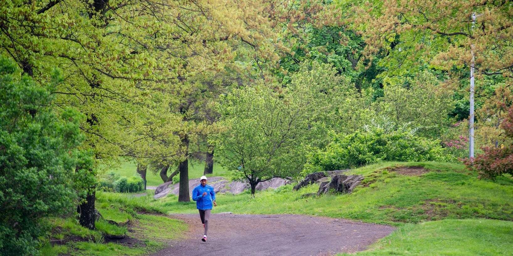 How Central Park Was Designed as a Park… | Central Park Conservancy
