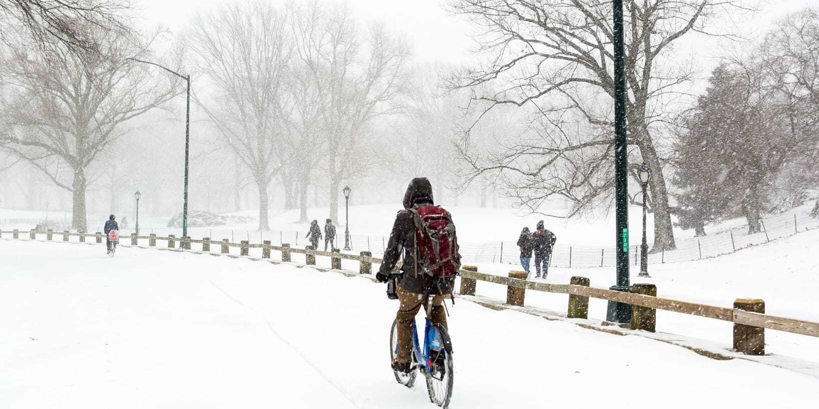 From the Mailbag: Visiting Central Park in… | Central Park Conservancy