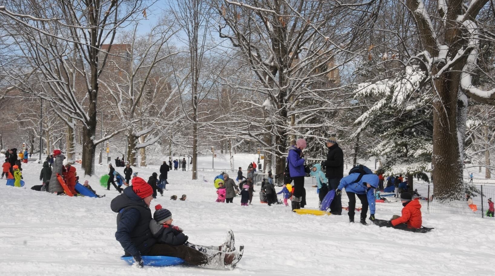 20 Ways to Enjoy Winter in Central Park | Central Park Conservancy