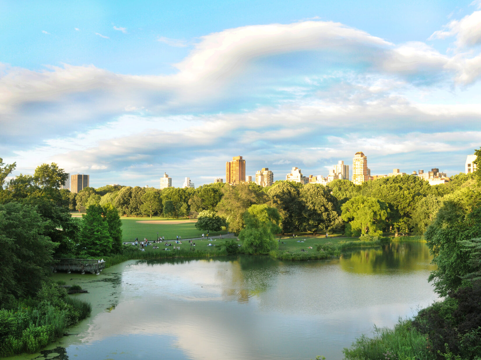 The Park Needs Us | Central Park Conservancy