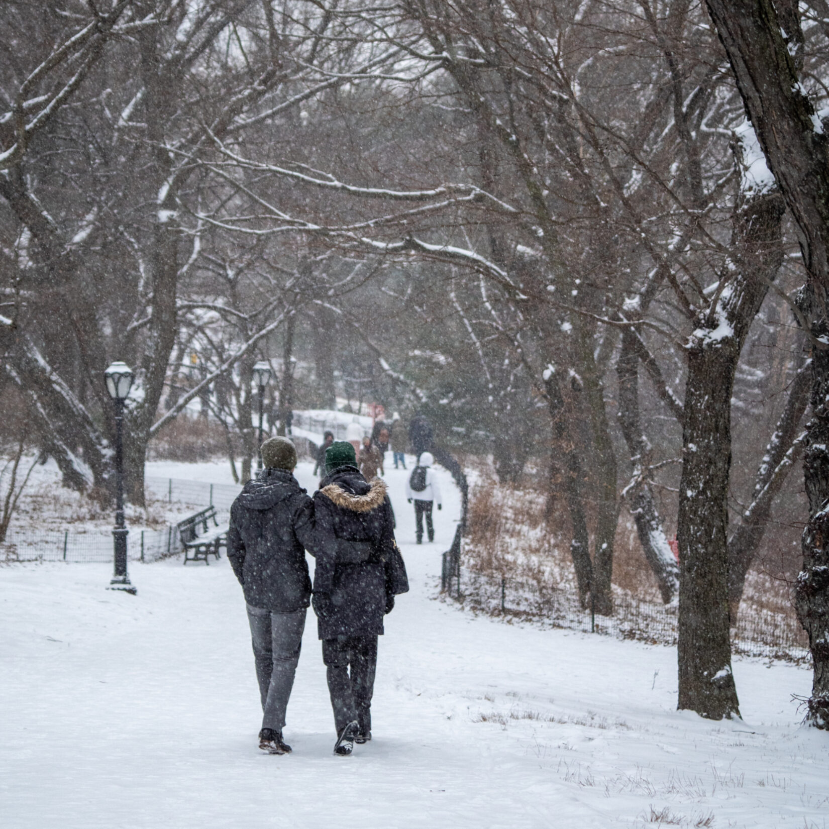 The Top 10 Must-Visit Locations in New… | Central Park Conservancy