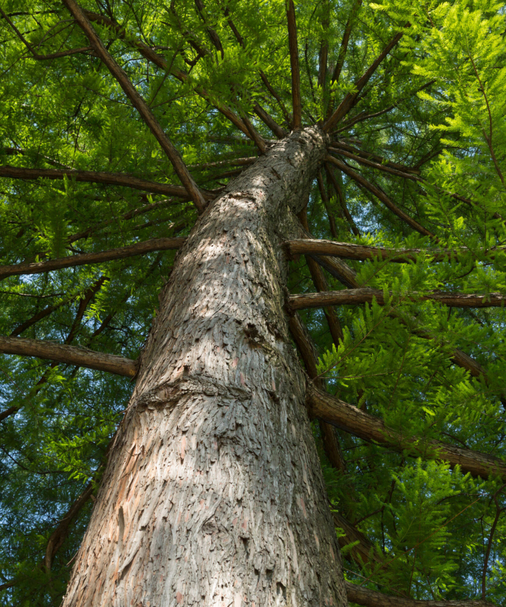 Your Official Guide to Central Park I… | Central Park Conservancy