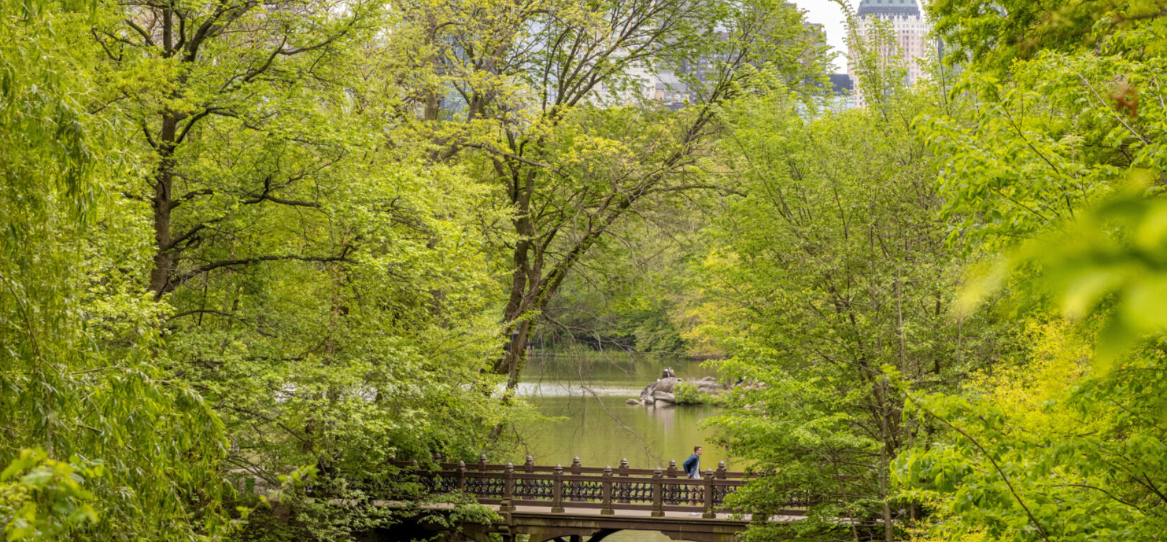 Official Tour: The Ramble Tour | Central Park Conservancy