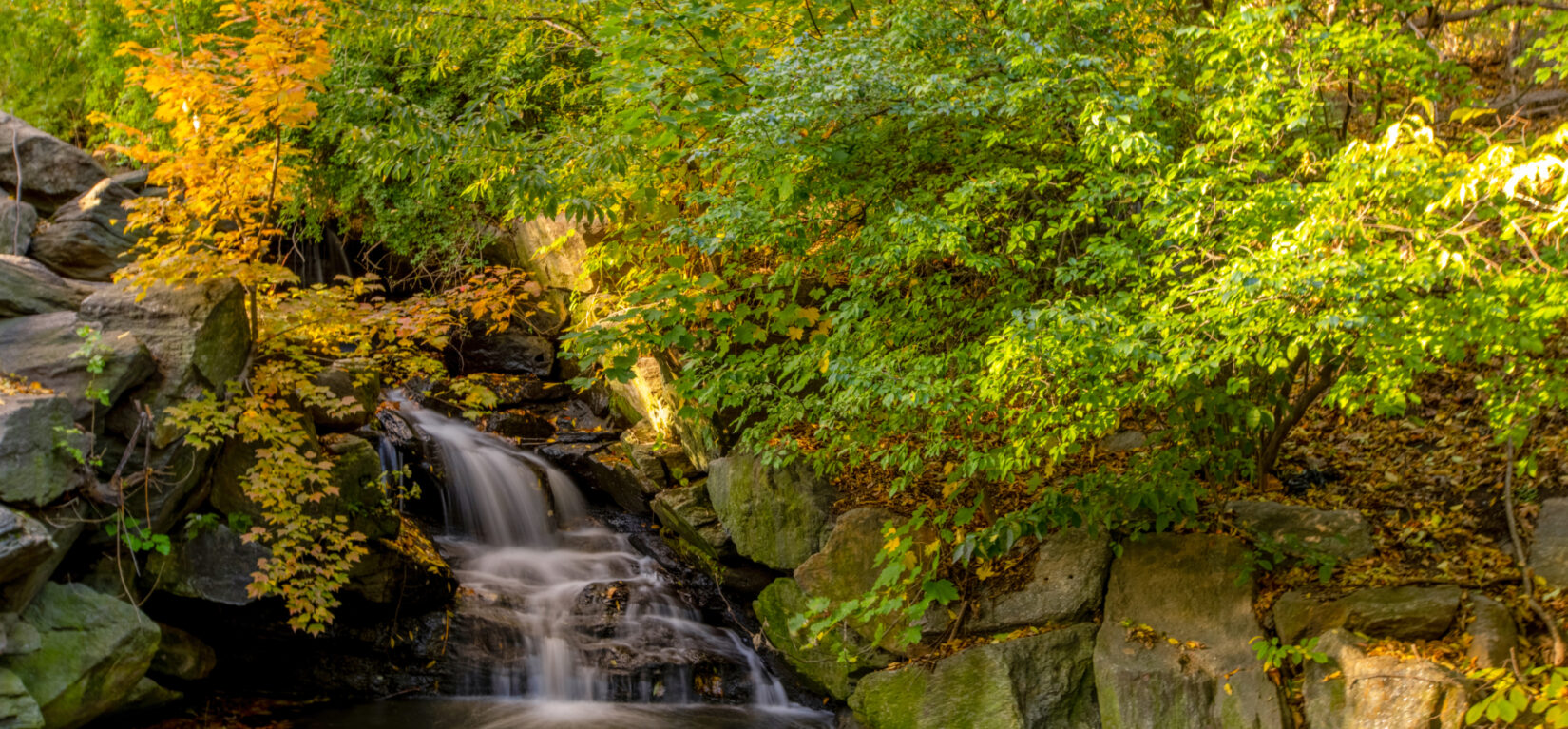 October Secrets of Central Park | Central Park Conservancy