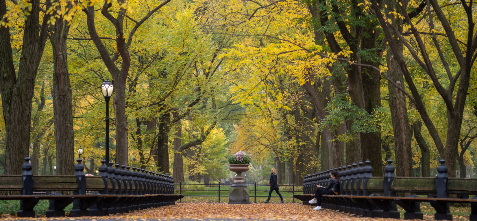 Stroll Down the Mall & Literary Walk in… | Central Park Conservancy