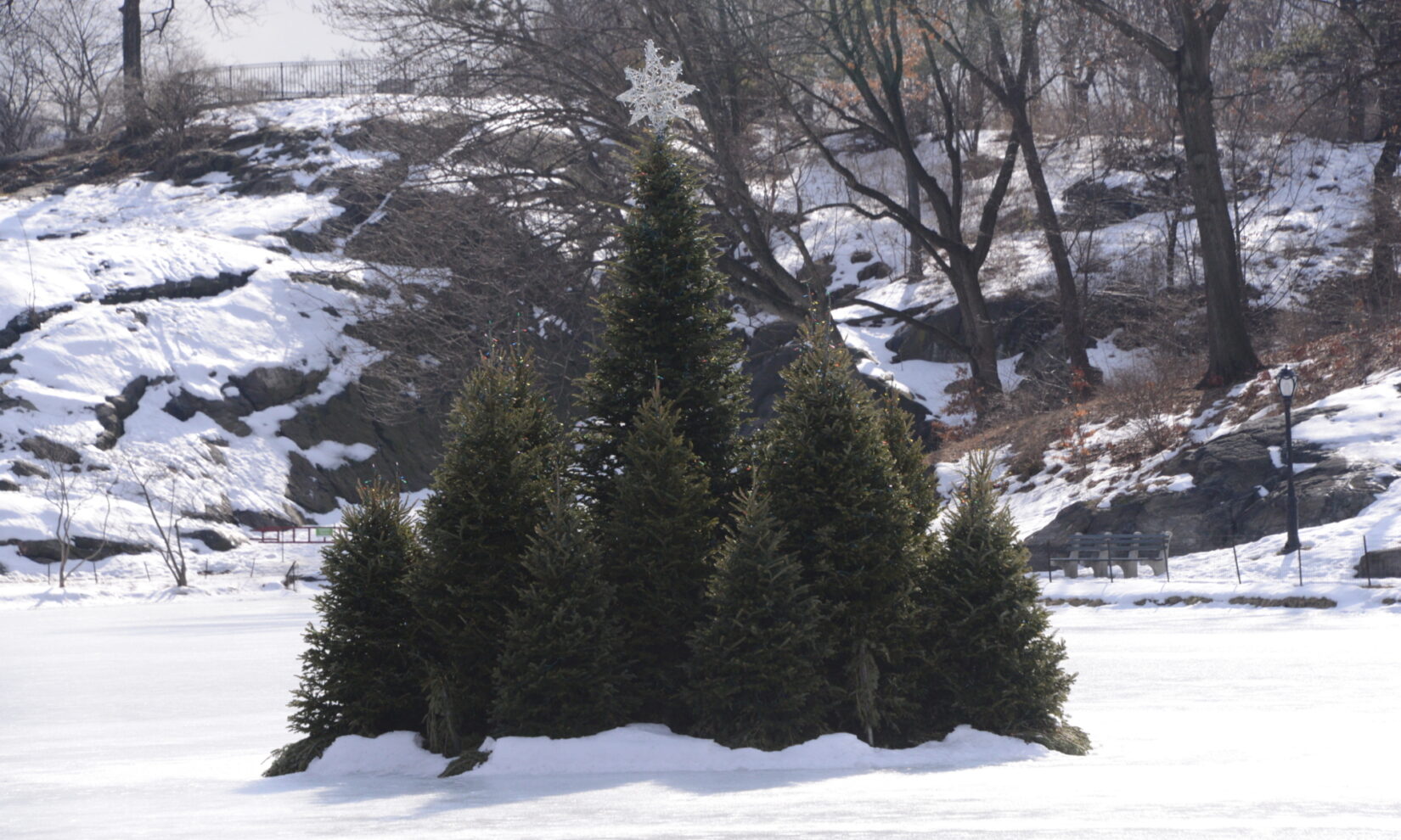 The New Holiday Guide | Central Park Conservancy