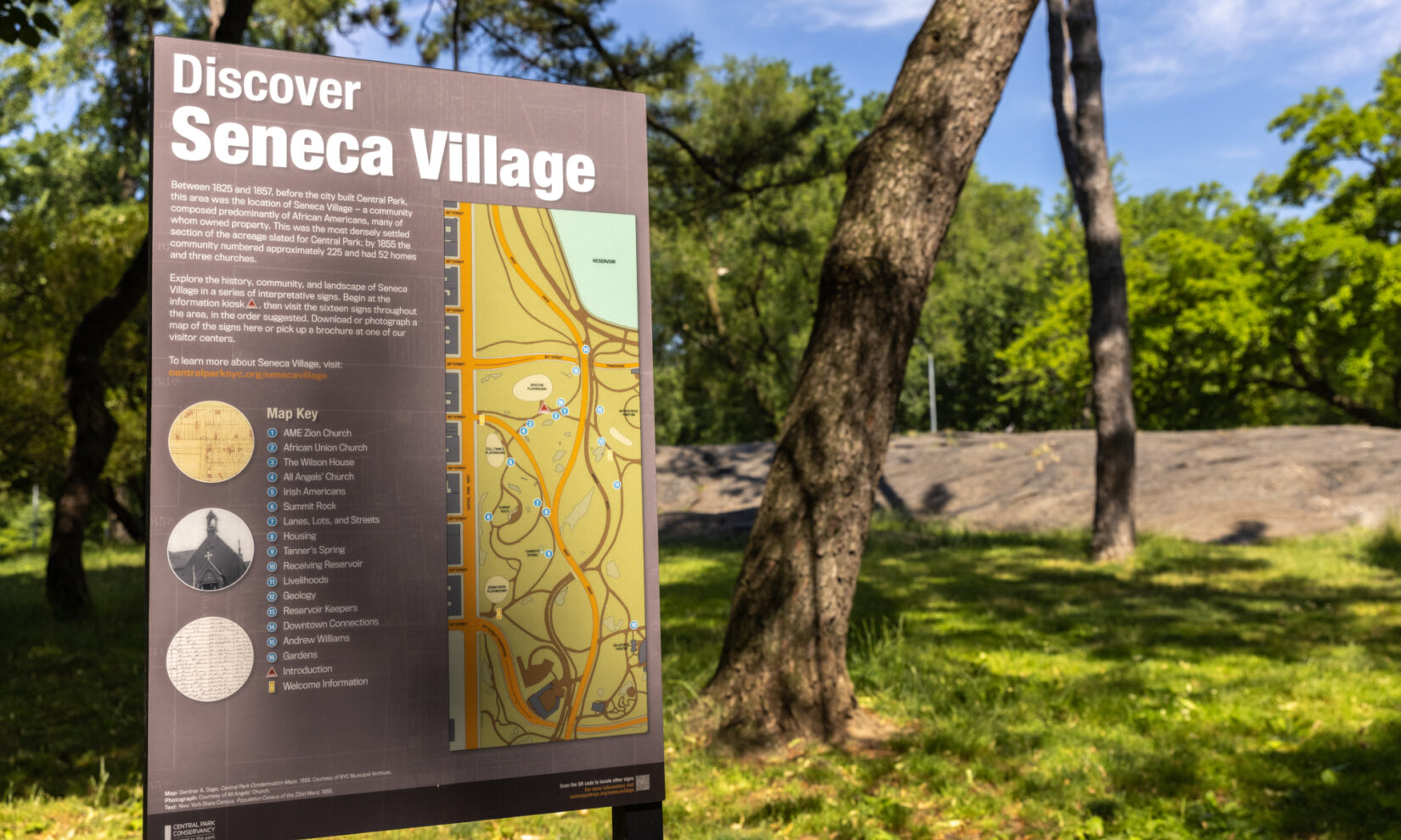 Your Official Guide to Central Park I… | Central Park Conservancy