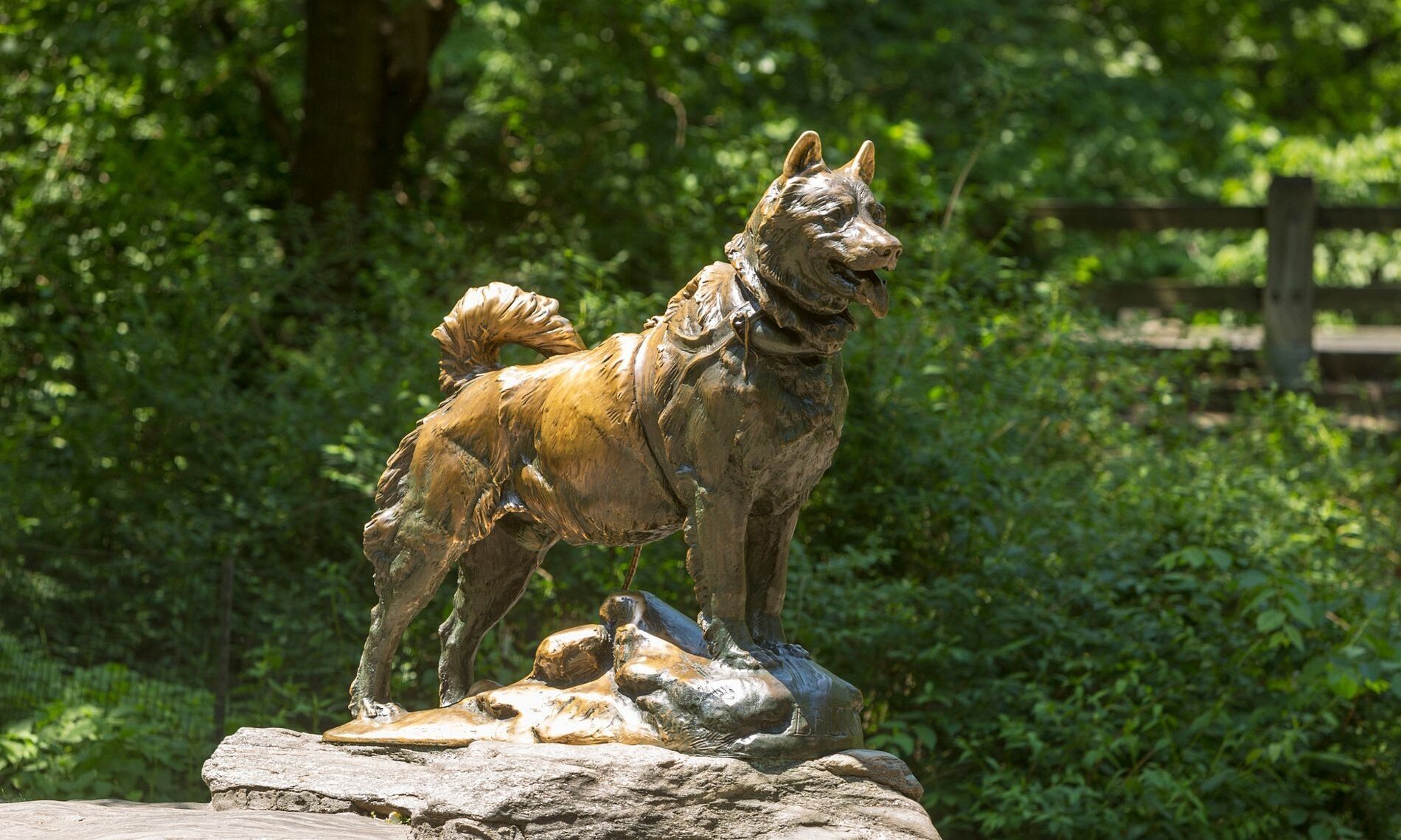 Balto Statue | Central Park Conservancy