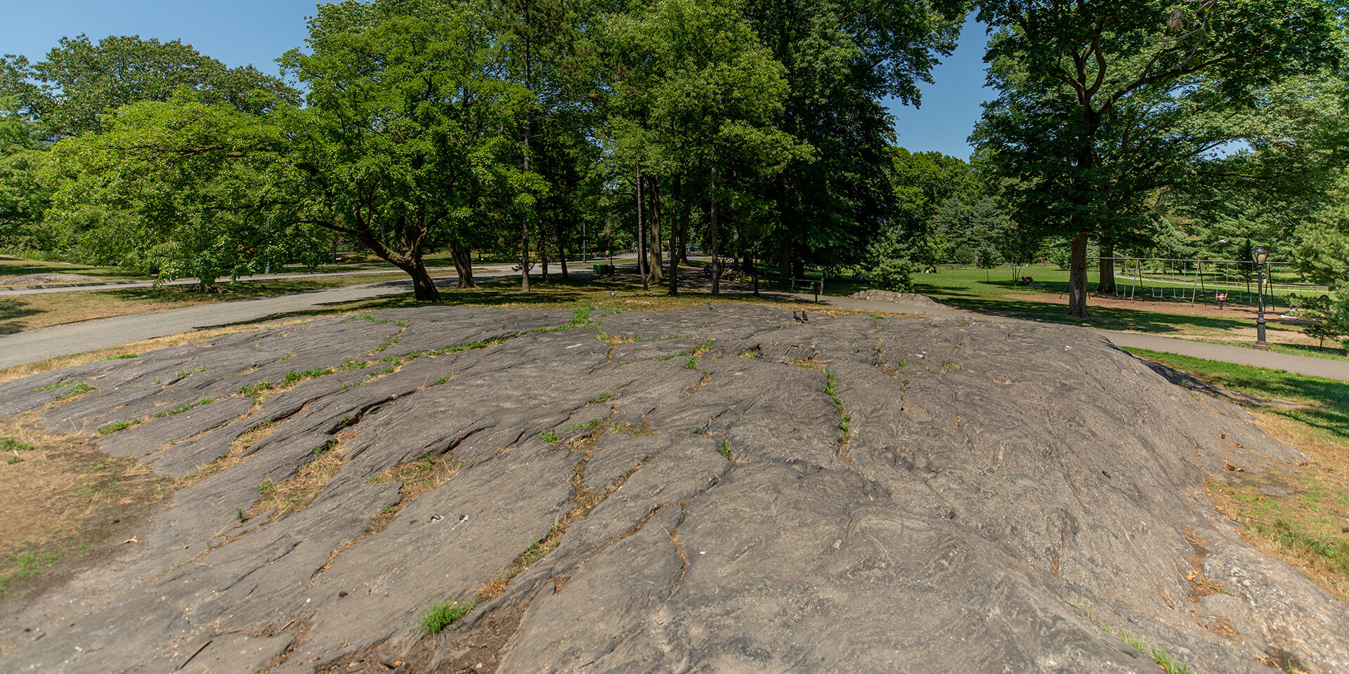 How the Landscape of Seneca Village Can… | Central Park Conservancy