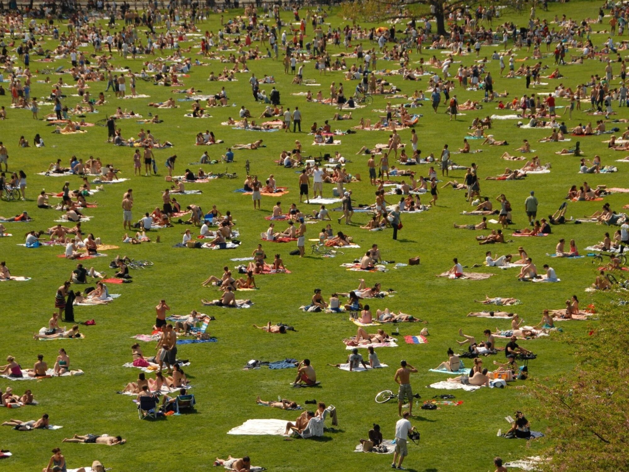 Sheep Meadow | Central Park Conservancy