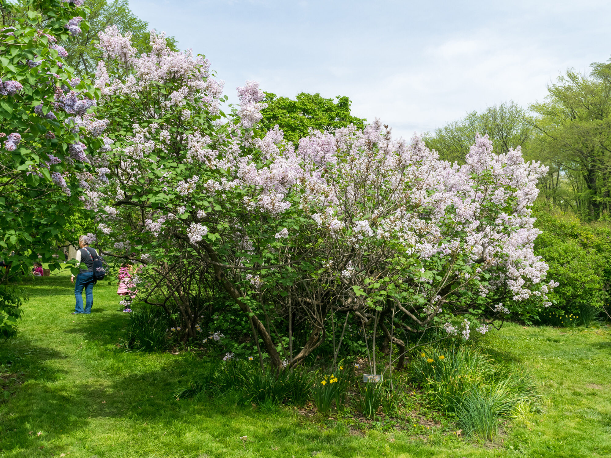 Women’s Rights Pioneers Monument | Central Park Conservancy