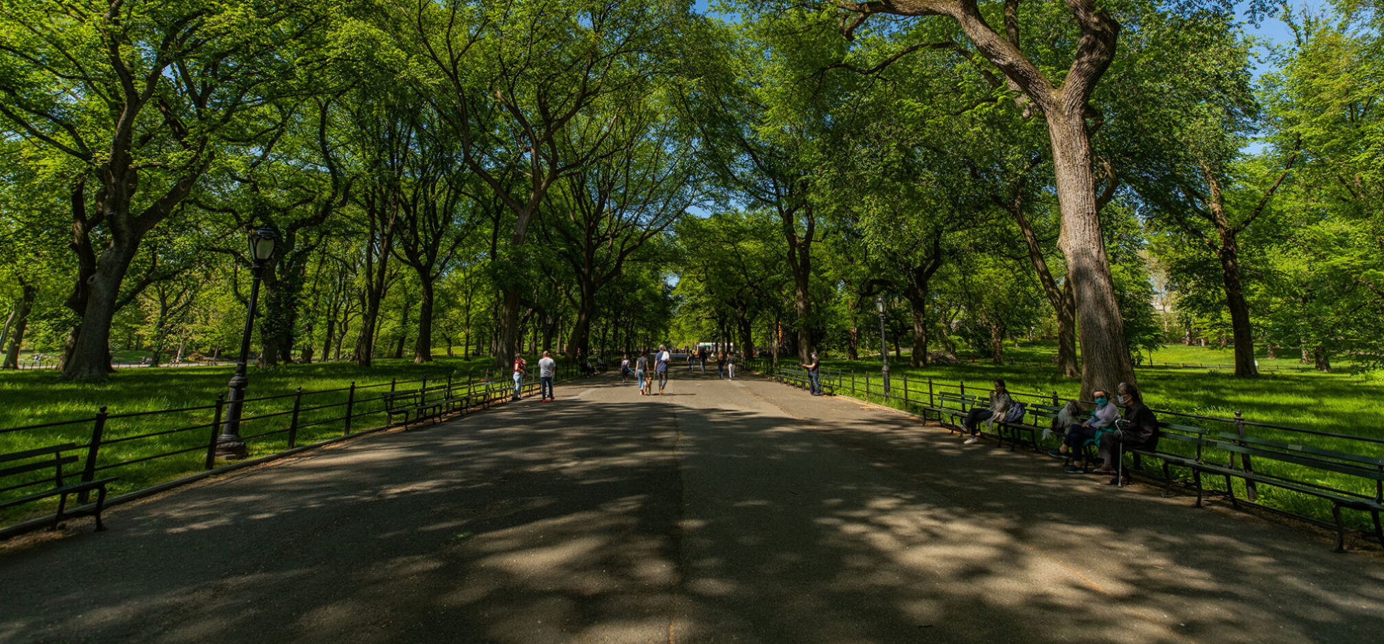 160 Years of Central Park: A Brief History | Central Park Conservancy