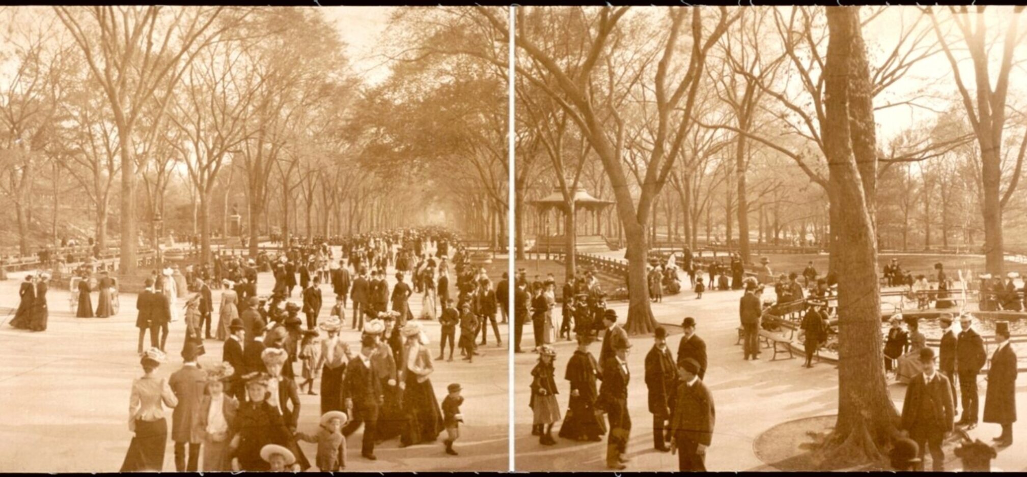 Central Park Research Guide | Central Park Conservancy