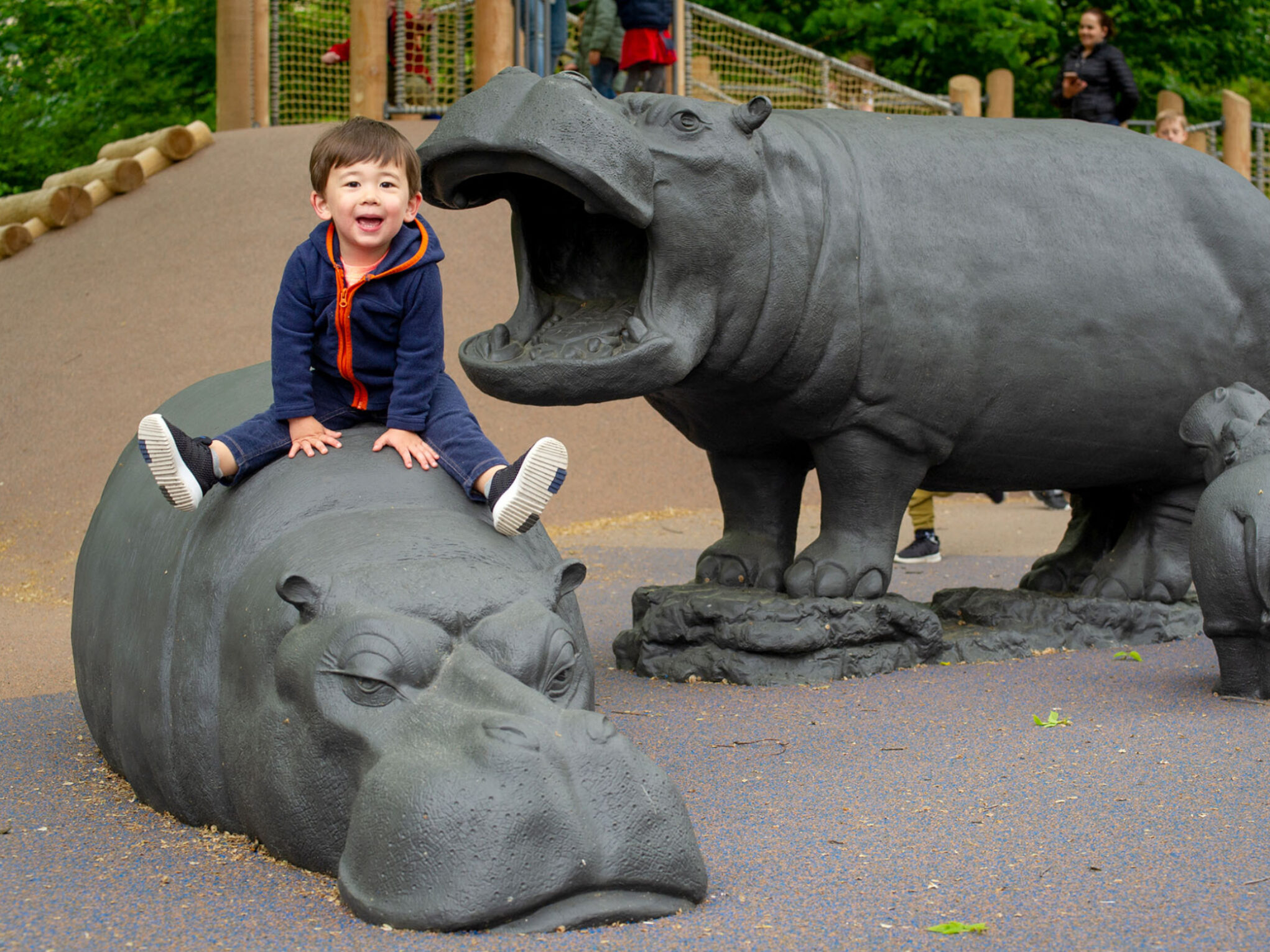 Safari Playground | Central Park Conservancy