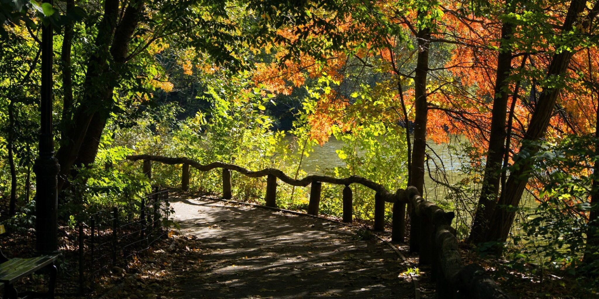 Landscapes of Central Park | Central Park Conservancy