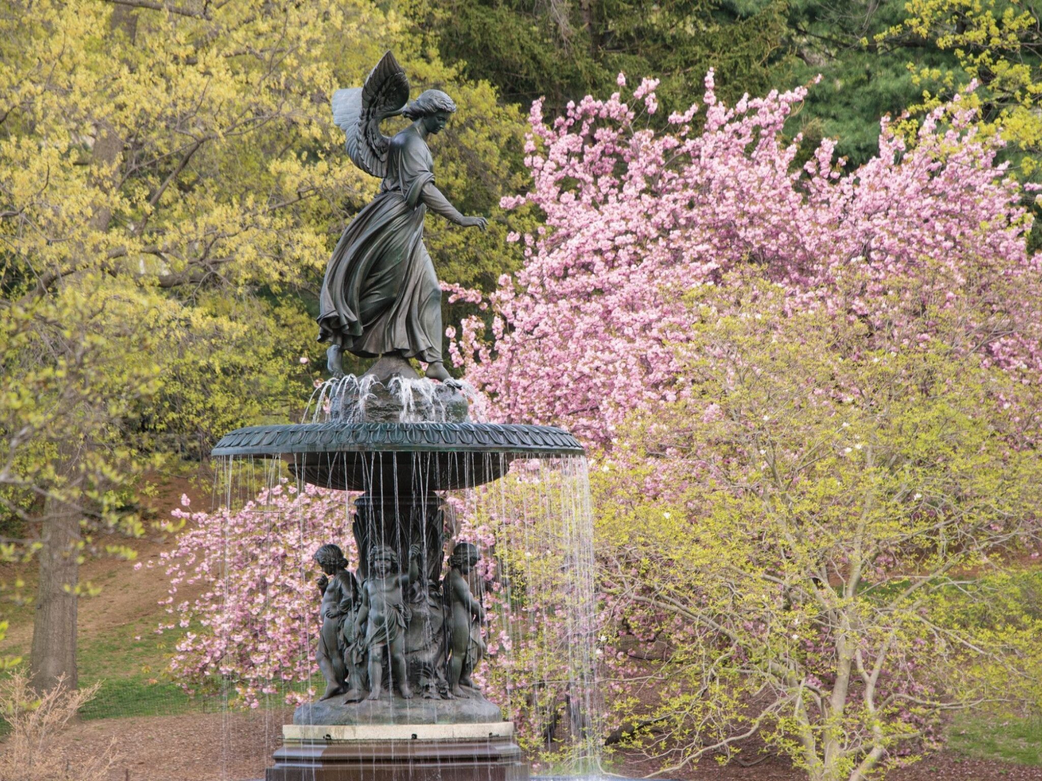 The Ramble | Central Park Conservancy