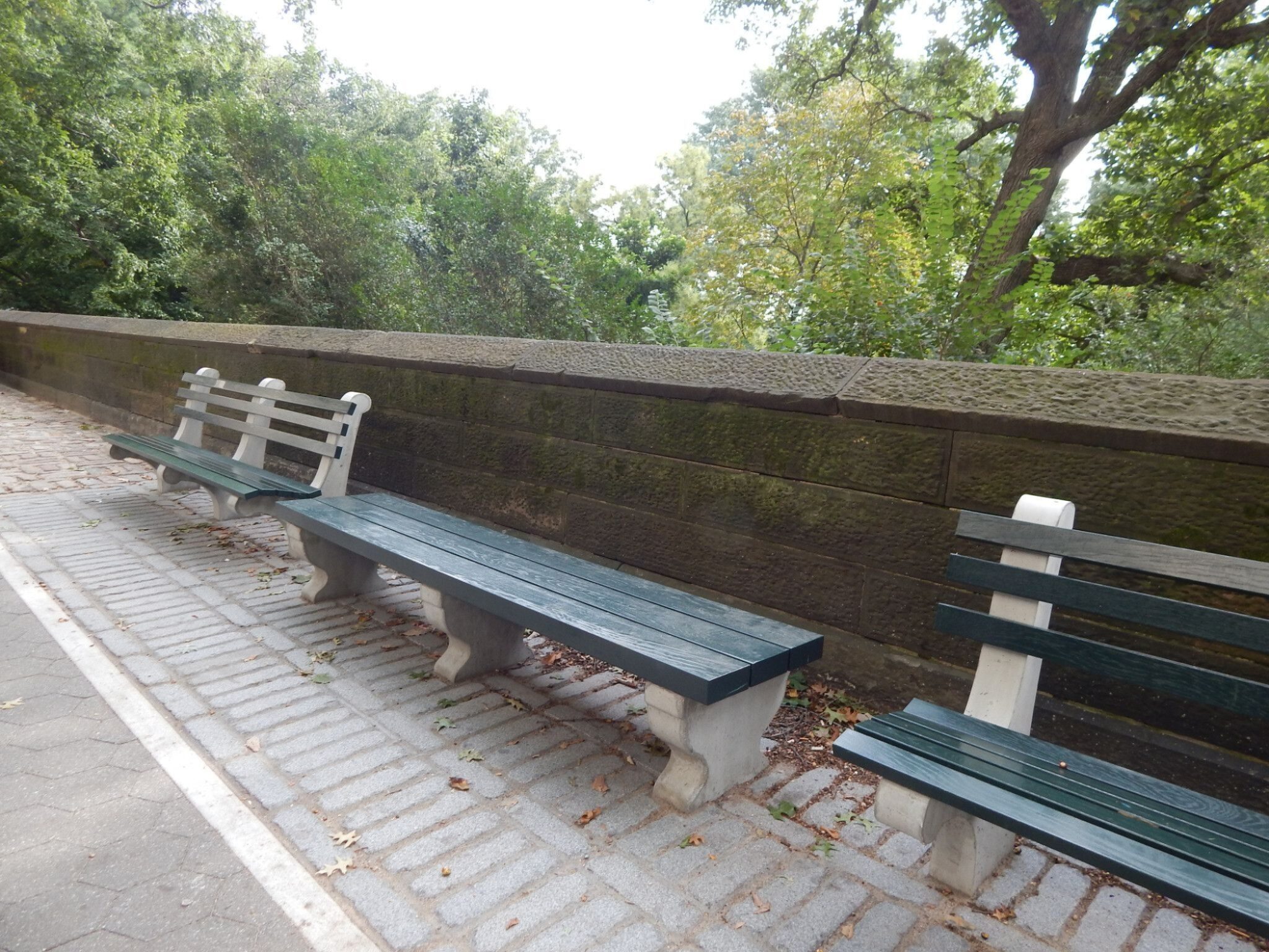 The History, Design, and Care of Central… | Central Park Conservancy