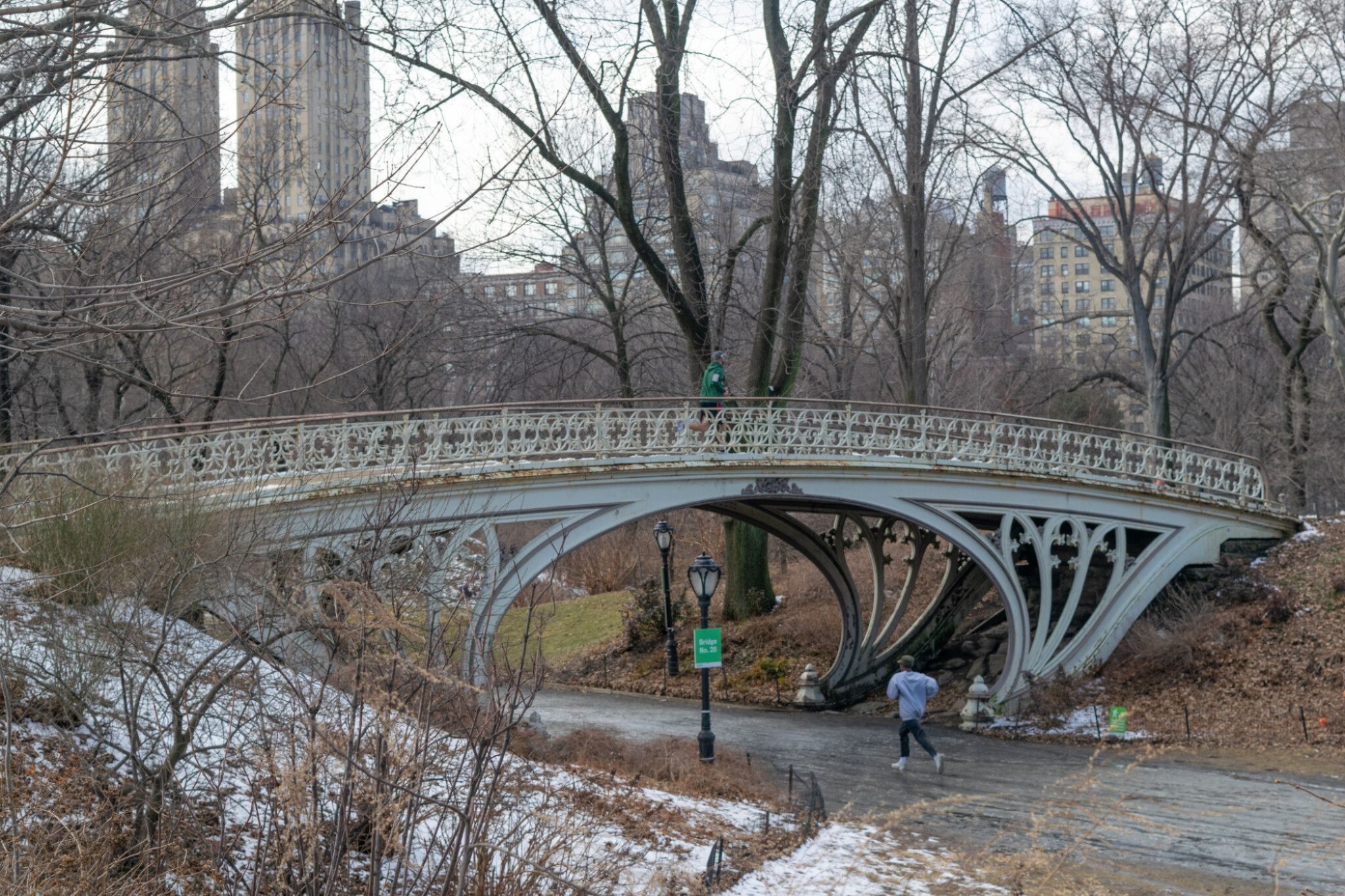 Restoration of Central Park’s Cast-Iron… | Central Park Conservancy