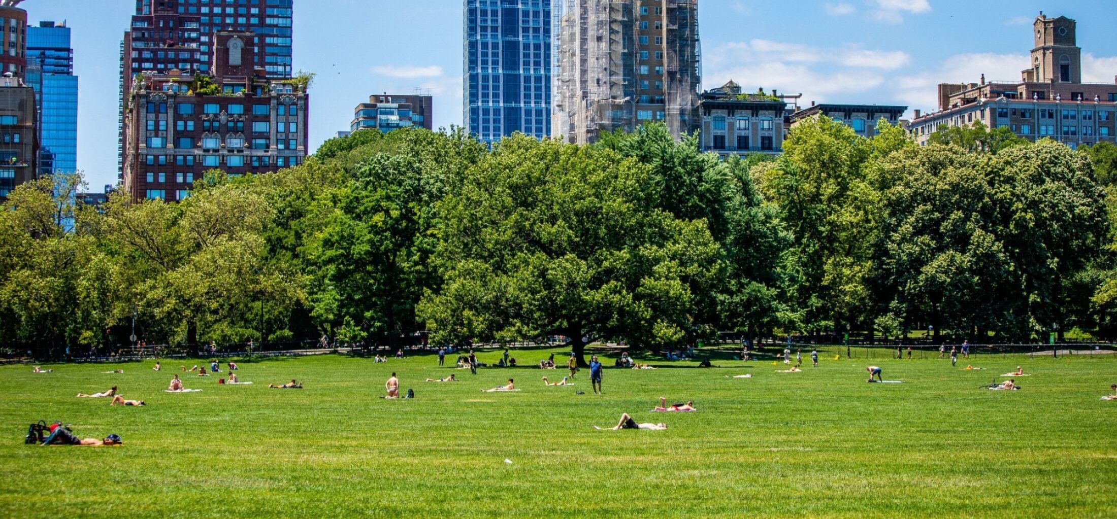 Sheep Meadow | Central Park Conservancy