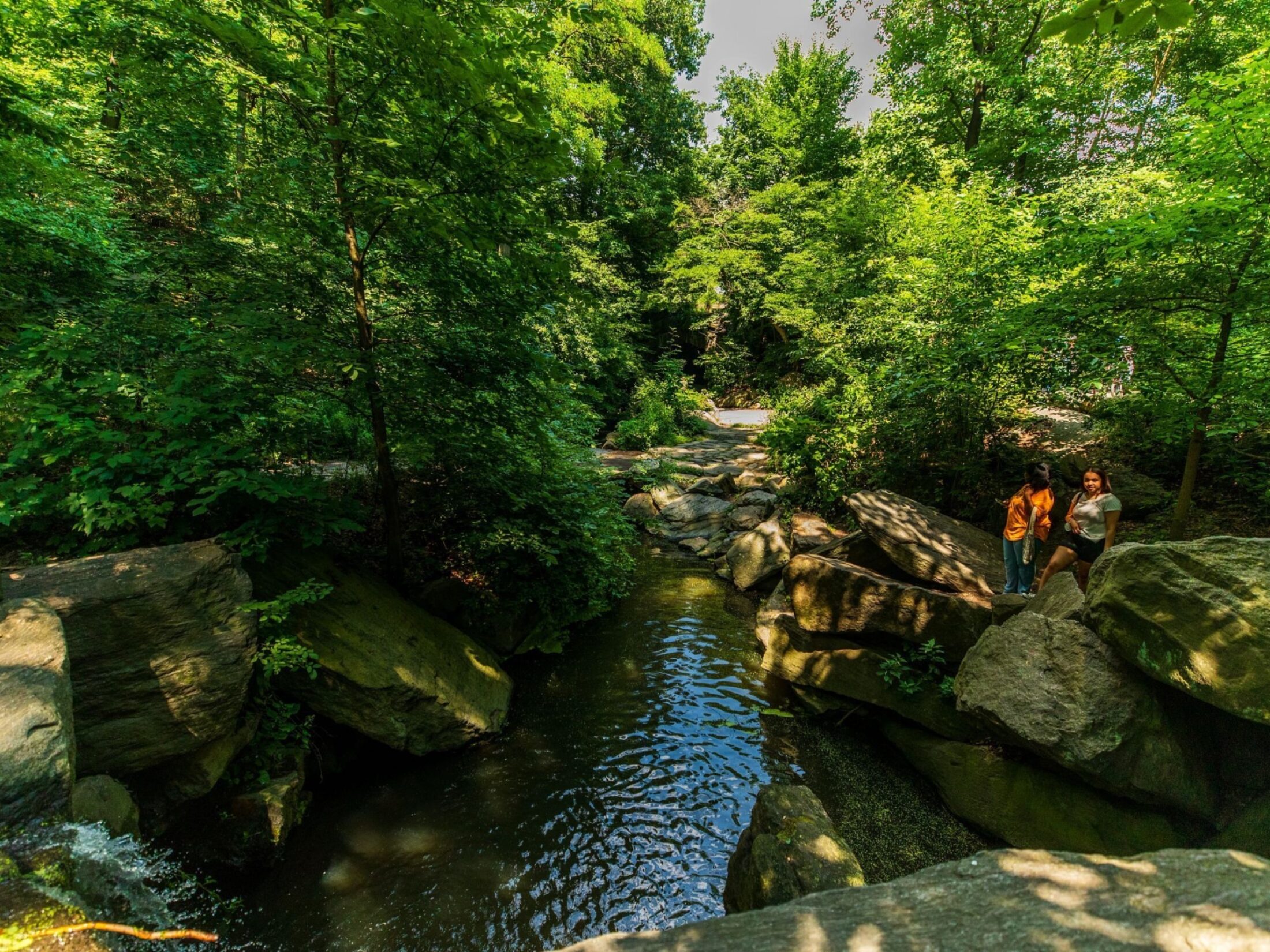 North Woods | Central Park Conservancy